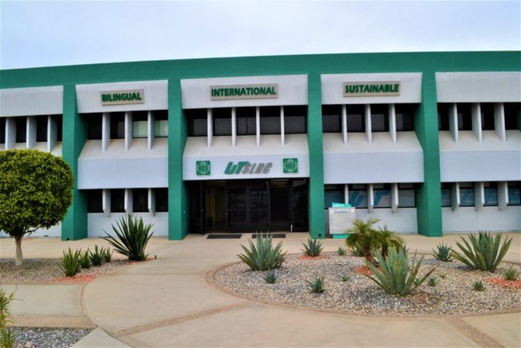 UT-SLRC participará en Expo Regional Emprendedora con harina de ...