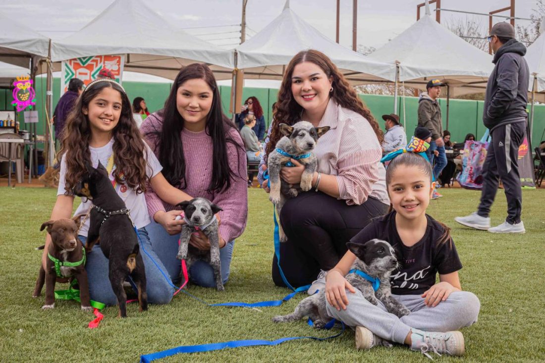 Servicios veterinarios y adopciones en Pet Fest 2024 – El 5to Poder